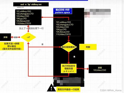 31linux文本处理三剑客——grepsedawkcentos如何读取井号字符串 Csdn博客