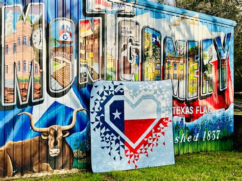 Exploding Heart Of Texas Quilt Kit Canvas Threaded Lines