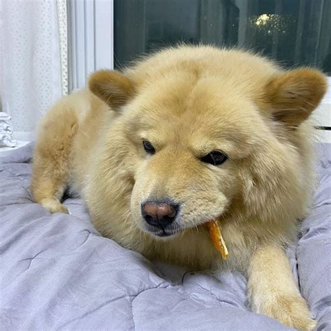 서울 왔어 친구들이 만나장🤗 시로공주 Nine Muses Park Kyung Ri박경리 Facebook