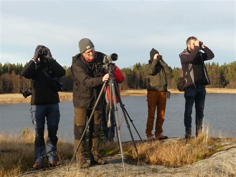 What We Do Ebcc Ebcc