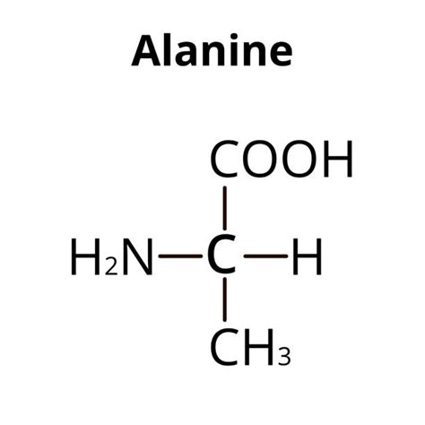 Alanine Structural Formula Illustrations Royalty Free Vector Graphics