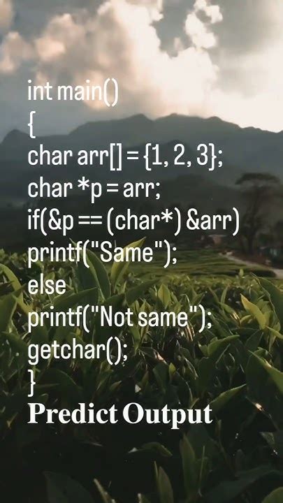 𝐏𝐫𝐞𝐝𝐢𝐜𝐭 𝐎𝐮𝐭𝐩𝐮𝐭 Code Program Practice Logic Info Math