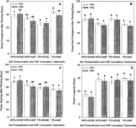 Infl Uence Of Soil Pasteurization And Inoculation With The Arbuscular