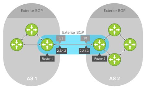 Dell Networking SONiC Bidirectional Forwarding Detection BFD Dell Bolivia