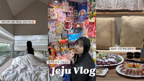 Vlog 제주도 여행 브이로그 Ep1 애교냥이가 있는 3채 단독 감성 숙소만족도 1000보장 더 유명해지기 전에 꼭 가세요 ・ 먹잘알의 서쪽 맛집 공유🍊