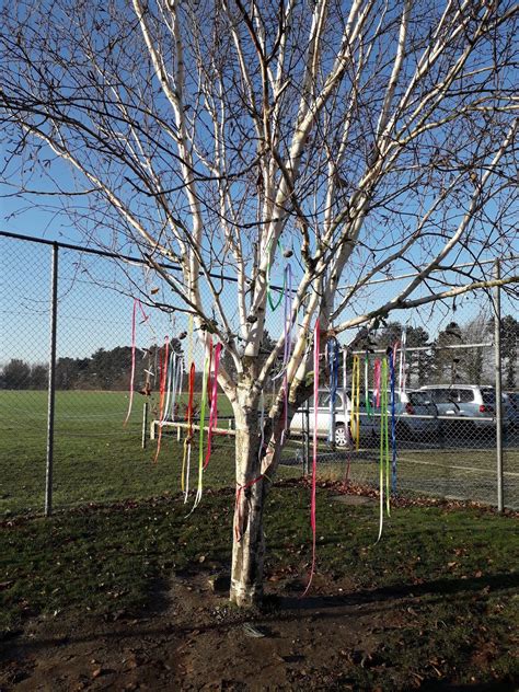 Tree Dressing