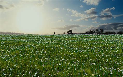 The Grass Plain Wip 2 By Shroomworks On Deviantart