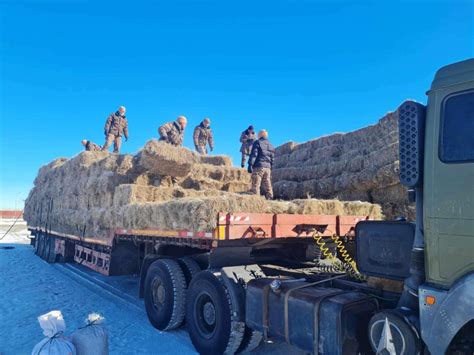 Цас зудын нөхцөлд Зэвсэгт хүчний алба хаагчид хүч нэмэгдүүлэн ажиллаж байна