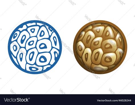 Cellular Restoration Icon In Flat And 3d Style Vector Image