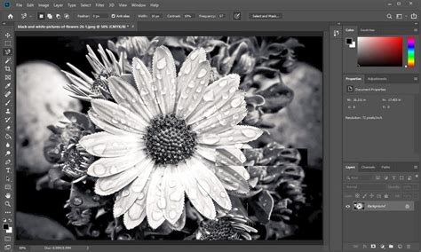 آموزش تبدیل عکس سیاه سفید به تصویر رنگی در فتوشاپ Photoshop