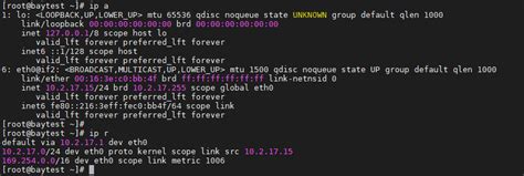 Container Cant Ping To Gateway Lxd Linux Containers Forum