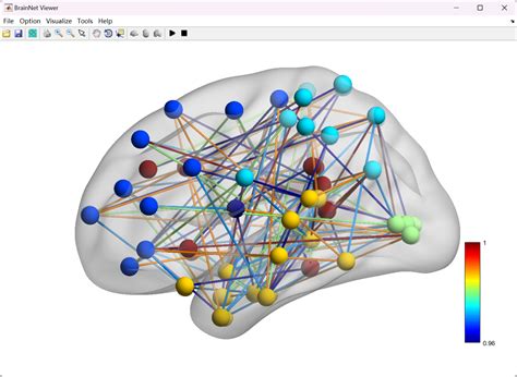 脑网络可视化软件brainnet viewer快速上手教程 知乎