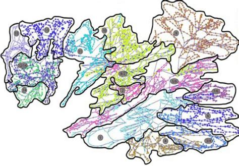 Genetic Algorithm Clustering Results With Fitness Equal To 0896 Some