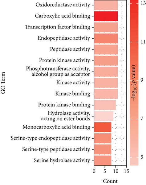 Computational Prediction Results Of Twelve Compounds 5a L A Download Scientific Diagram