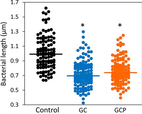 Gc And Gcp Caused A Reduction In The Bacterial Length Of S Mutans The Download Scientific