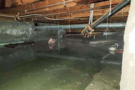 Flooded Crawl Space Colorado HomeStrong