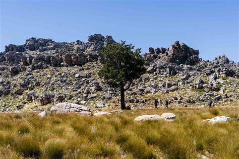 Projects — Simon Pocock