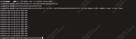 使用rancher创建的下游集群kubeconfig文件报过期但是在rancher执行kubectl命令是可以的 Rancher 2x