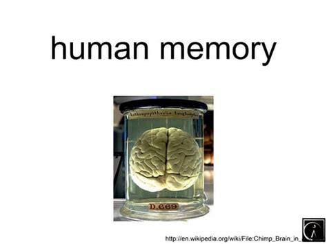 Powerpoint Memory Ppt