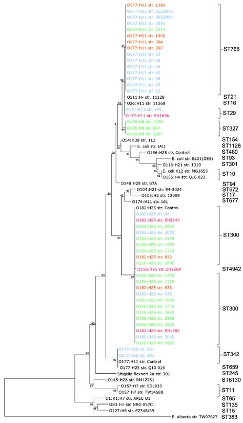 Phylogenetic Tree Of Concatenated Mlst Gene Alleles Adk Fumc Icd Download Scientific