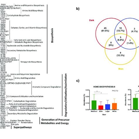 Predictive Metabolic Pathways By Picrust2 A Differentially Abundant Download Scientific