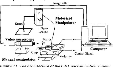 Figure 11 From Development Of An Automated Microinjection System For