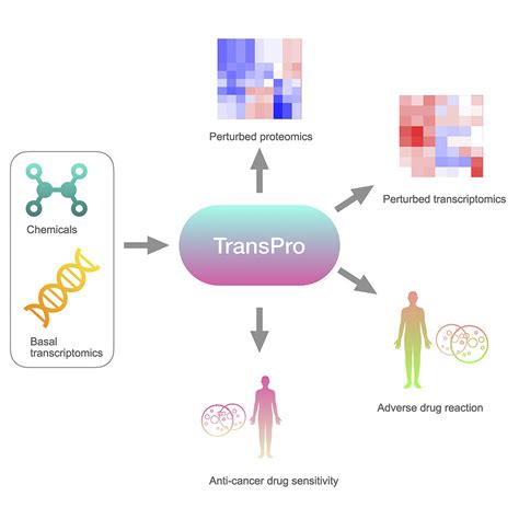 Hierarchical Multi Omics Data Integration And Modeling Predict Cell Specific Chemical Proteomics
