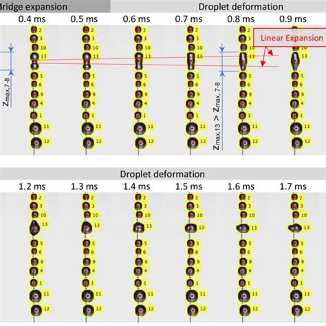 Initial Droplet Coalescence Caused By Closely Spaced Growing Droplets