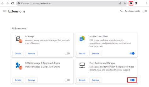 Configuration Dun Proxy Dans Lextension Proxy Switcher Et Manager