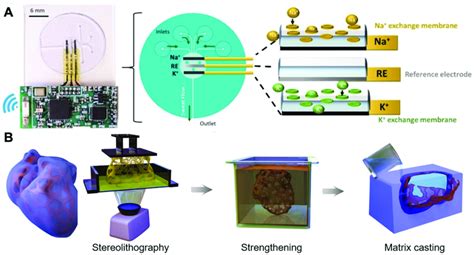 A Photograph And Schematic Representation Of A Microfluidic Device Download Scientific