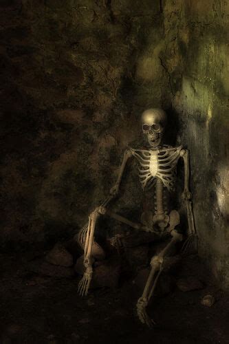 Scp 5091 Z Scp Prime Canon Wiki Fandom