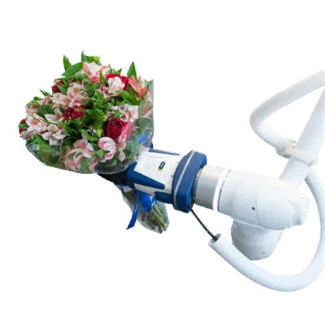 Cobot Stickers Find And Share On Giphy Cobot Stickers Find And Share On Giphy