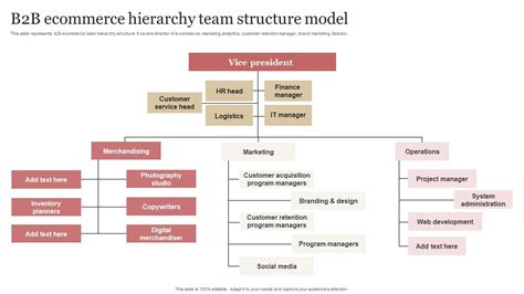 B B Ecommerce Hierarchy Team Structure Model B B Demand Generation Strategy PPT Presentation