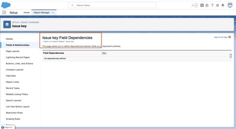 Dependent Picklist In Salesforce Forcelearn