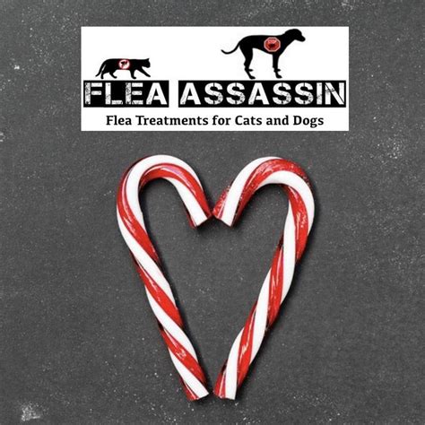 Flea Assassin Home Flea Assassin Home