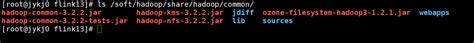 How To Access Data From Ozone Using Flink Stack Overflow