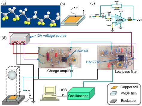 Sketch Maps For The Pvdf Sensor And The Related Detection System A Download Scientific