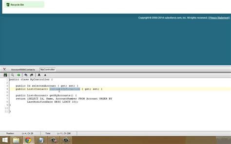 Nexstara Salesforce Visualforce Workbook Walkthrough Tutorial 13