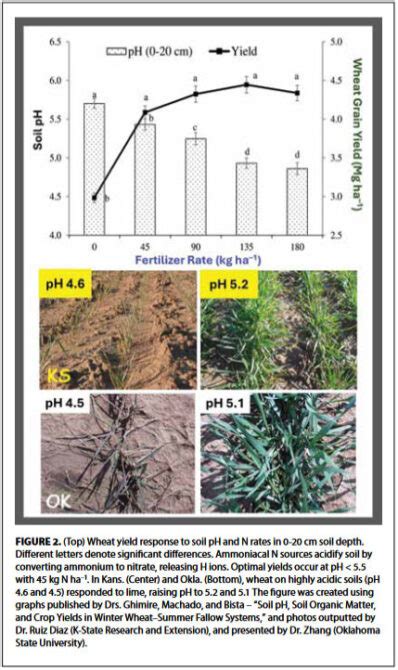 A Base Saturation Approach Wa Grains