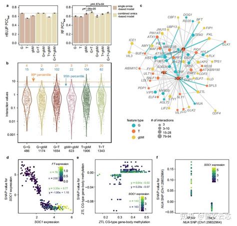 影响因子16 4 基于多组学数据的植物性状预测研究 知乎
