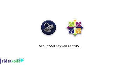 Tutorial Install And Run Sqlmap On Kali Linux Eldernode Blog