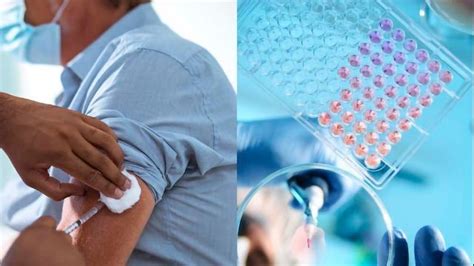 Understanding In Vivo Vs In Vitro Methods Technology Networks