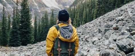 Top Javascript Libraries And Frameworks A Comprehensive Guide 🌈 Dev Community