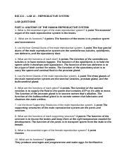 BIO 211 Lab 13 Lab Questions 1 Docx BIO 211 LAB 13 REPRODUCTIVE SYSTEM LAB QUESTIONS PART