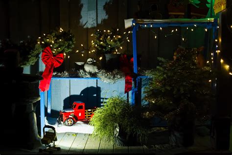 Nmap The Network Mapper For Free Security Scanning By Navindu Chamodya Bug Zero Nmap The Network Mapper For Free Security Scanning By Navindu Chamodya Bug Zero