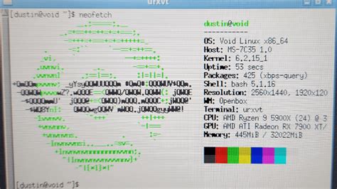 Fresh Install No Cursor Rvoidlinux