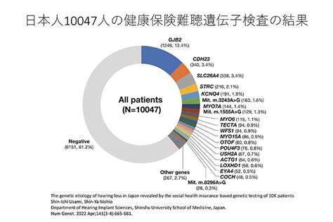 遺伝性難聴の診断とカウンセリング｜高野北大路｜耳鼻咽喉科ひょうごクリニック