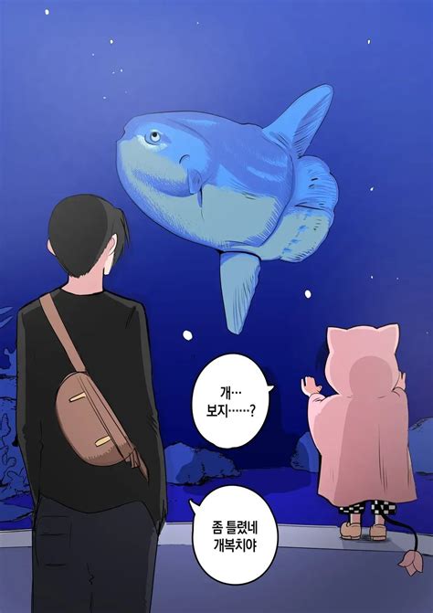 개보지 원신 에펨코리아