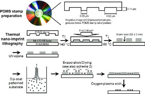 Scheme 1 Preparation Of The Patterned Substrate Using Soft Lithography Download Scientific