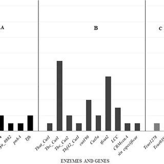 PDF Microbial Degradation Of Polyethylene Terephthalate A Systematic Review